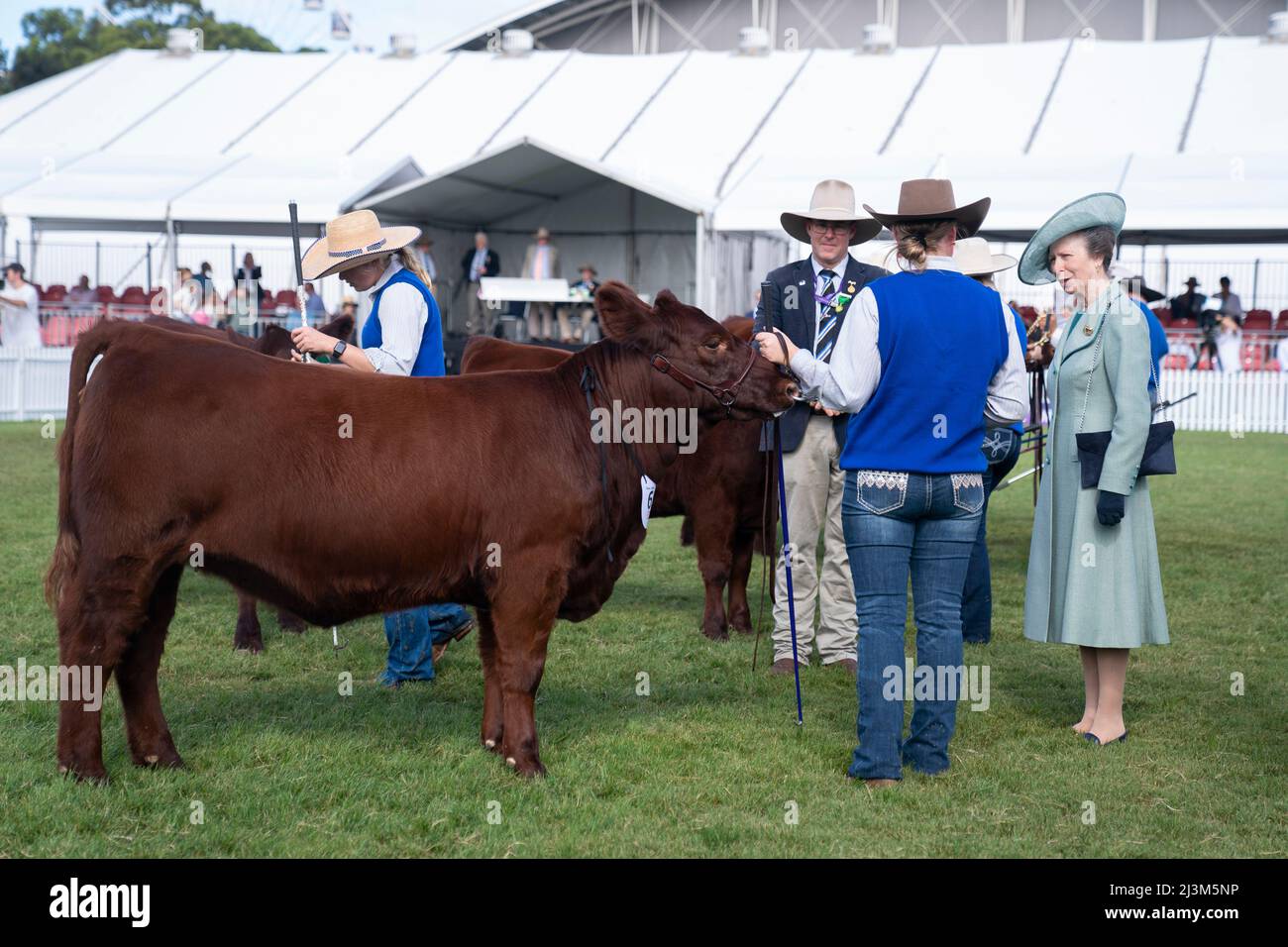 The Princess Royal speaks to exhibitors at the Sydney Royal Cattle Show ...
