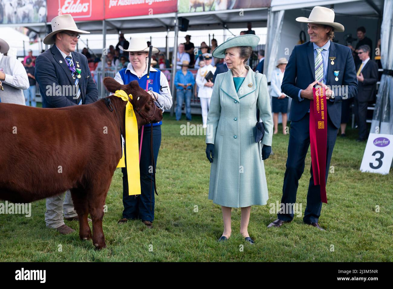 The Princess Royal awards Sydney Royal Ribbons at the Sydney Royal ...