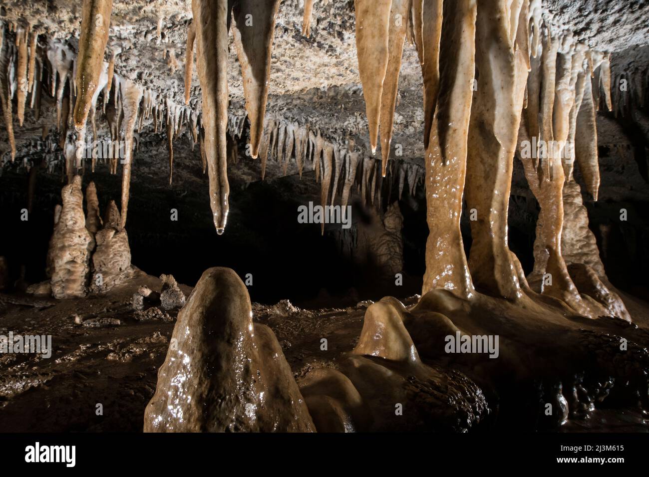 Whiterock park hi-res stock photography and images - Alamy