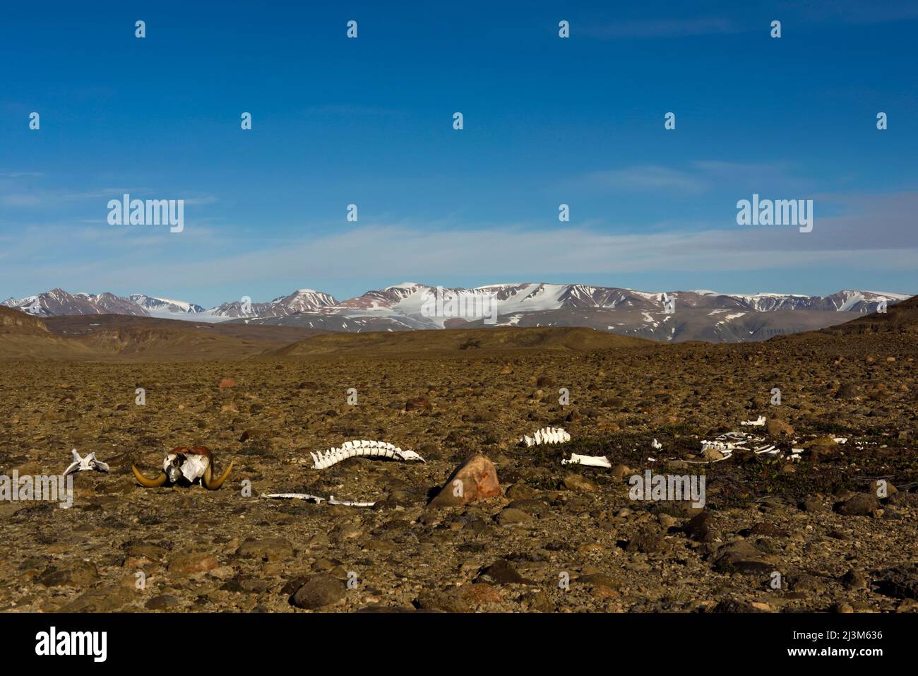 Paleoclimate hi-res stock photography and images - Alamy