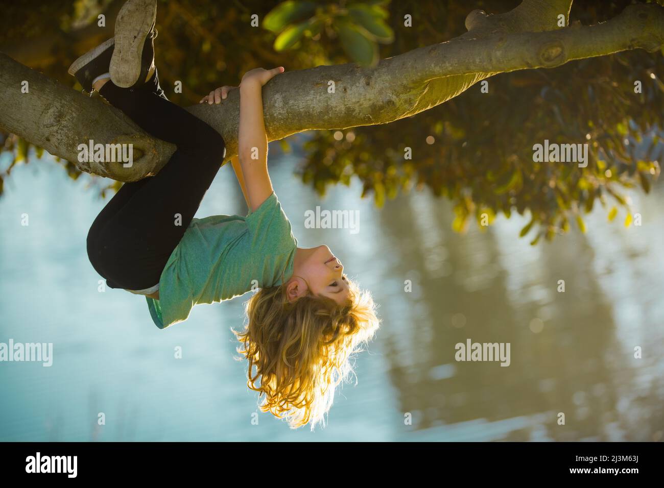 Childhood leisure, happy kids climbing up tree and having fun in summer ...