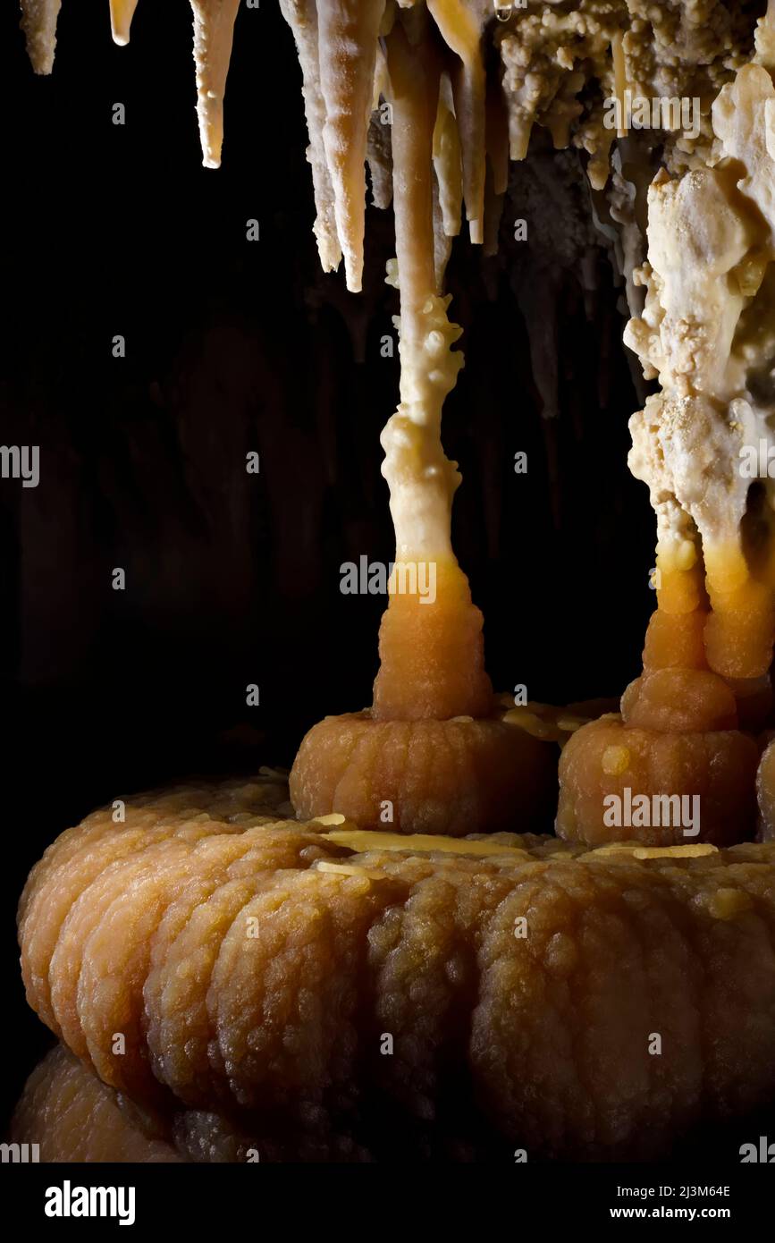 Cave mammillaries on the end of stalactites at Lake Castrovalva inside ...