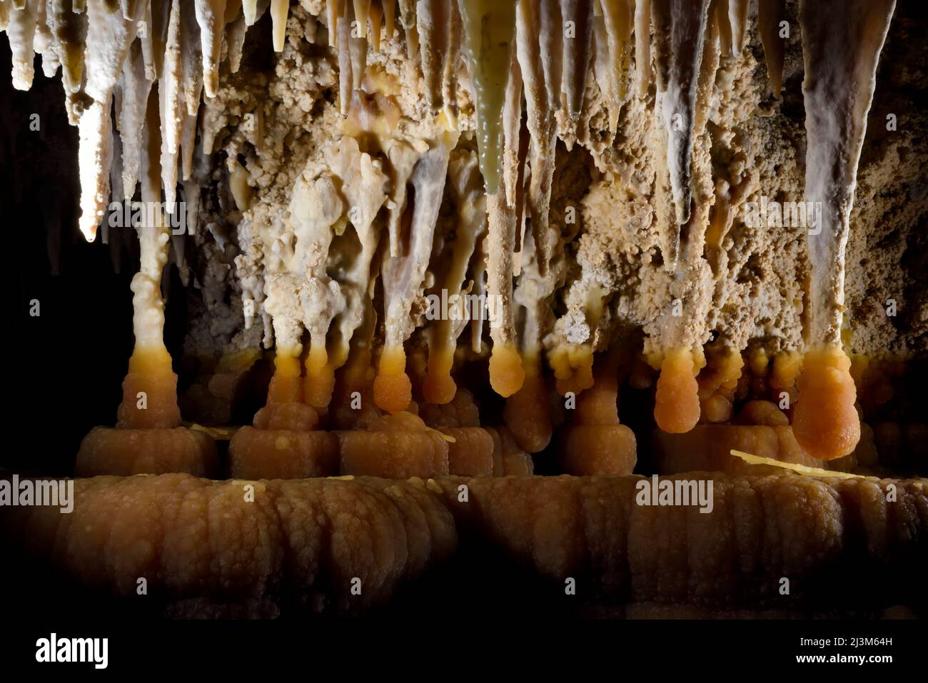 Cave mammillaries on the end of stalactites at Lake Castrovalva inside ...