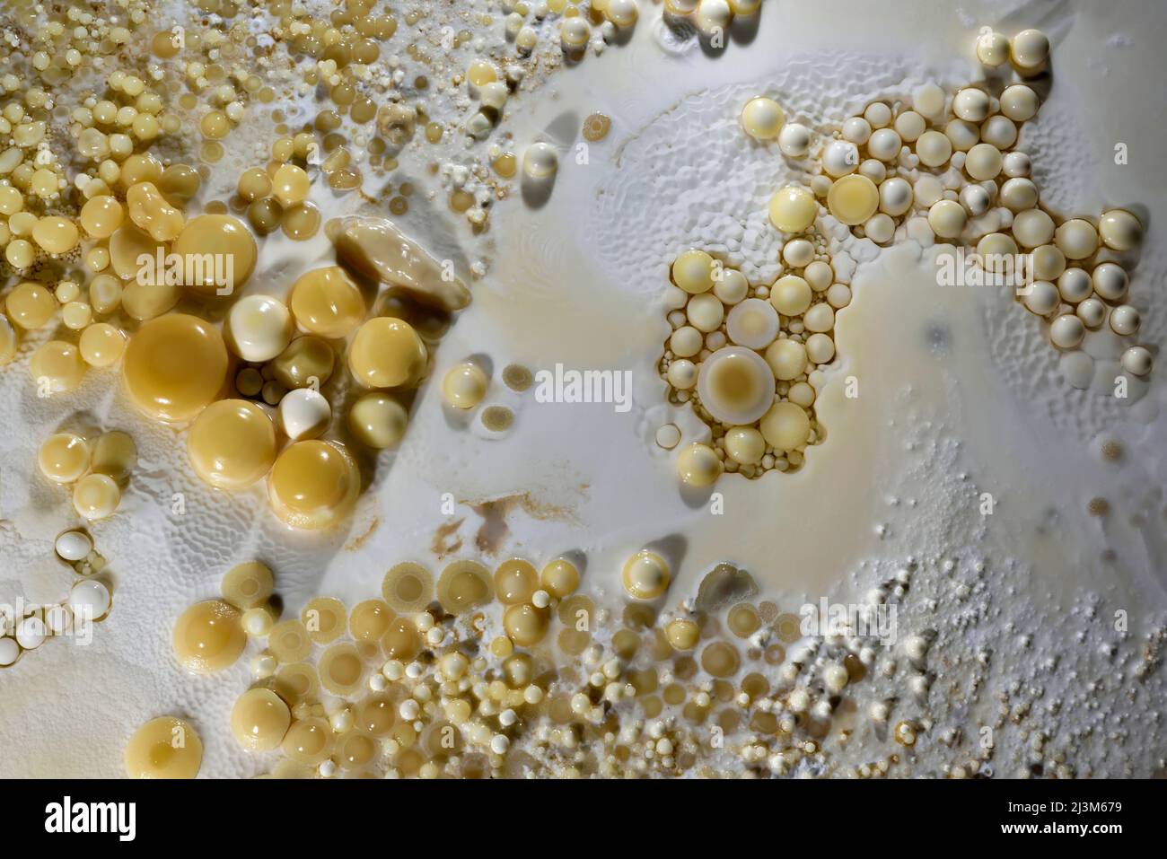 Cave pearls on the floor of Lechuguilla Cave.; Carlsbad Caverns ...