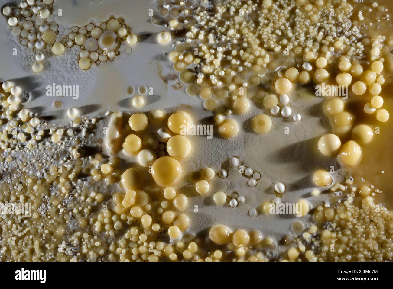 Cave pearls on the floor of Lechuguilla Cave.; Carlsbad Caverns ...