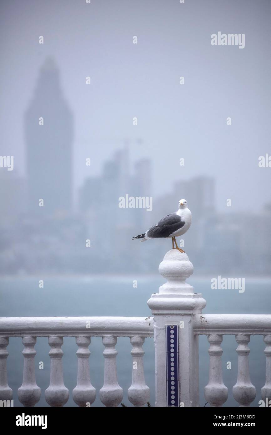 Balcon del mediterraneo belvedere hi-res stock photography and images ...