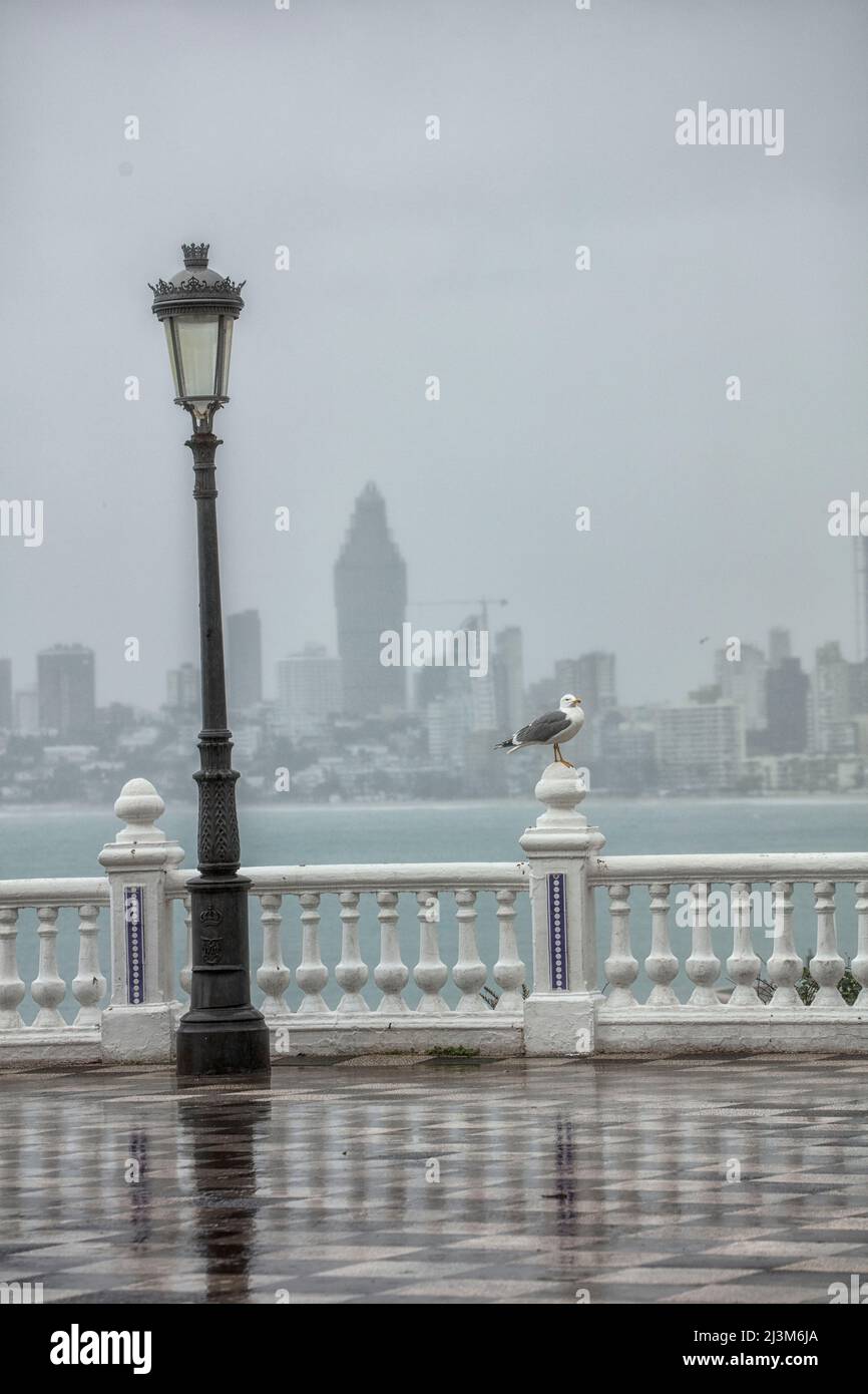 Cerro canfali headland hi-res stock photography and images - Alamy