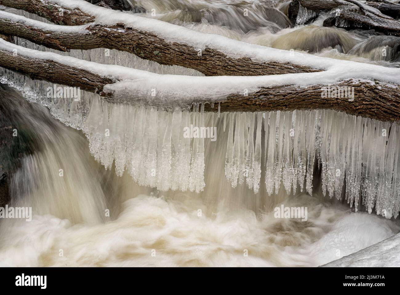 Icicles hang from a log across a stream during a cold snap in Ontario ...