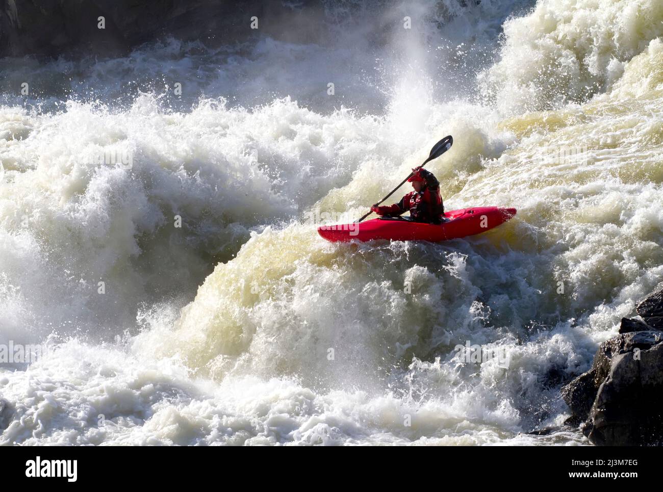 A kayaker big white water runs the lower section of Great Falls ...