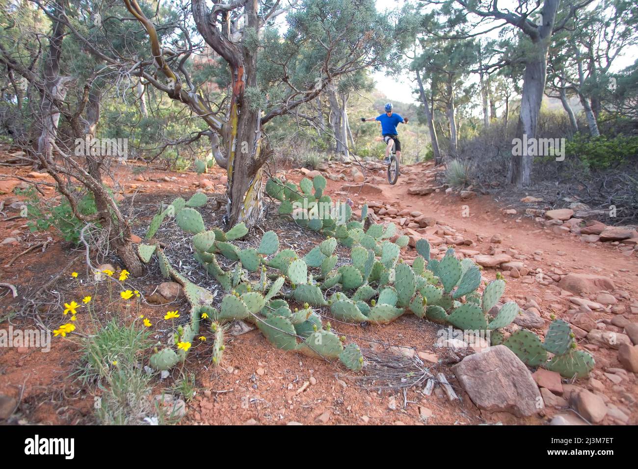A man on a unicycle rides a rocky single track trail in the desert ...