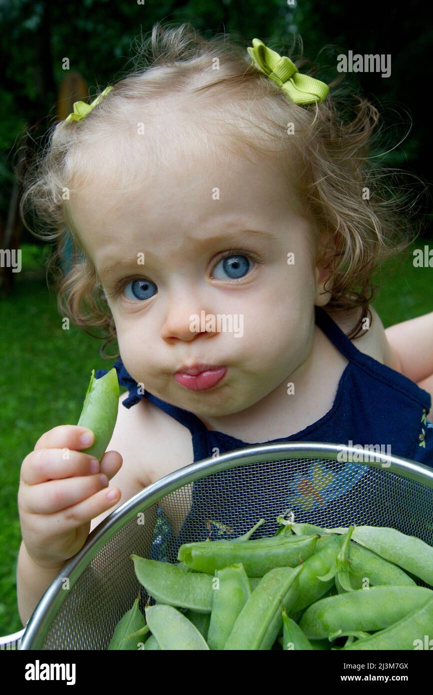 A blue eyed nine month old girl eats snap peas from her garden.; Cabin ...