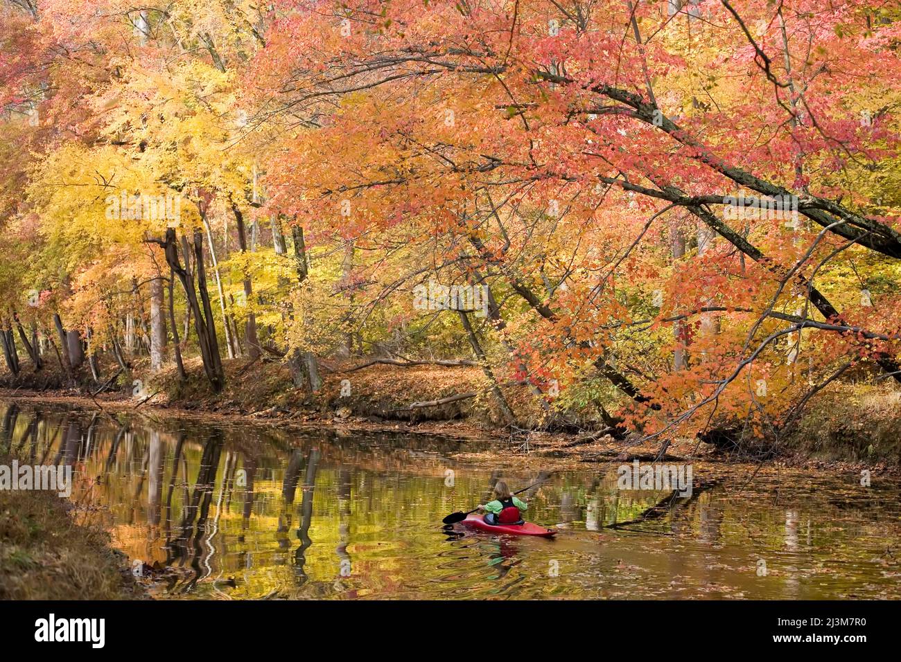 Chesapeake canal kayaking hi-res stock photography and images - Alamy