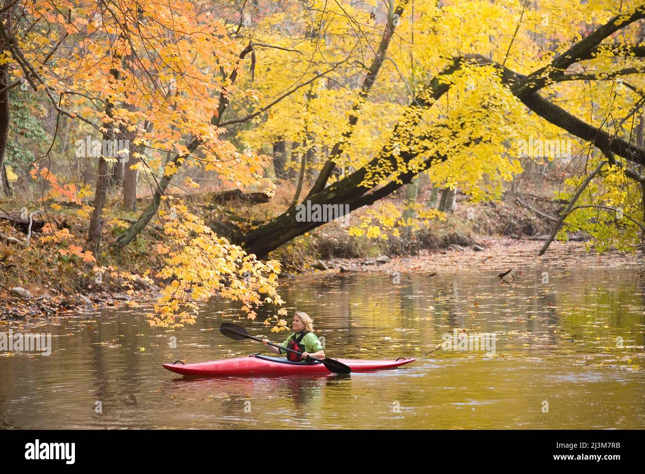 A woman kayaking under colorful fall foliage on the C&O canal.; Cabin ...