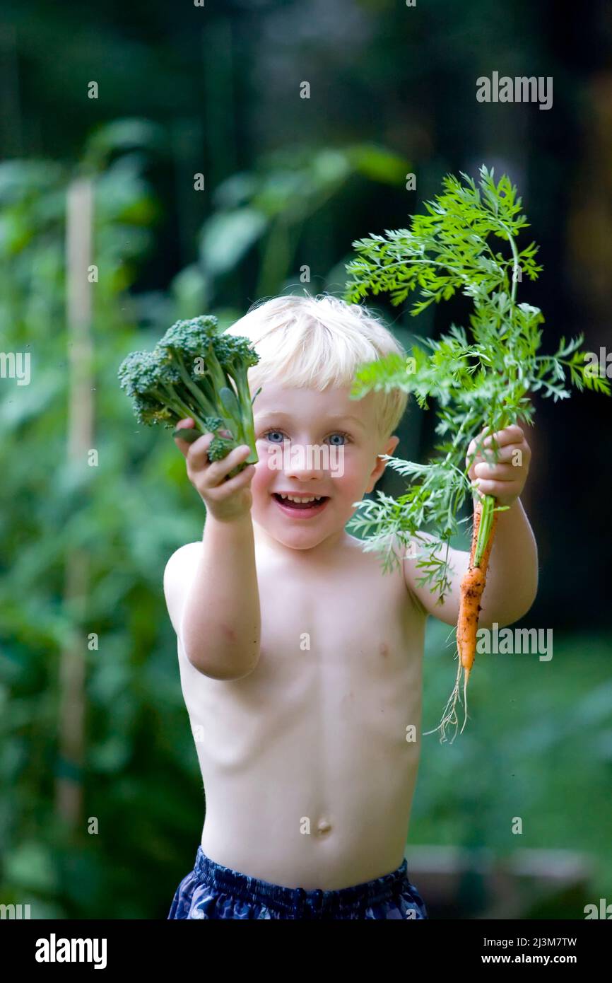 A three year old boy with broccoli and carrots from a backyard garden ...