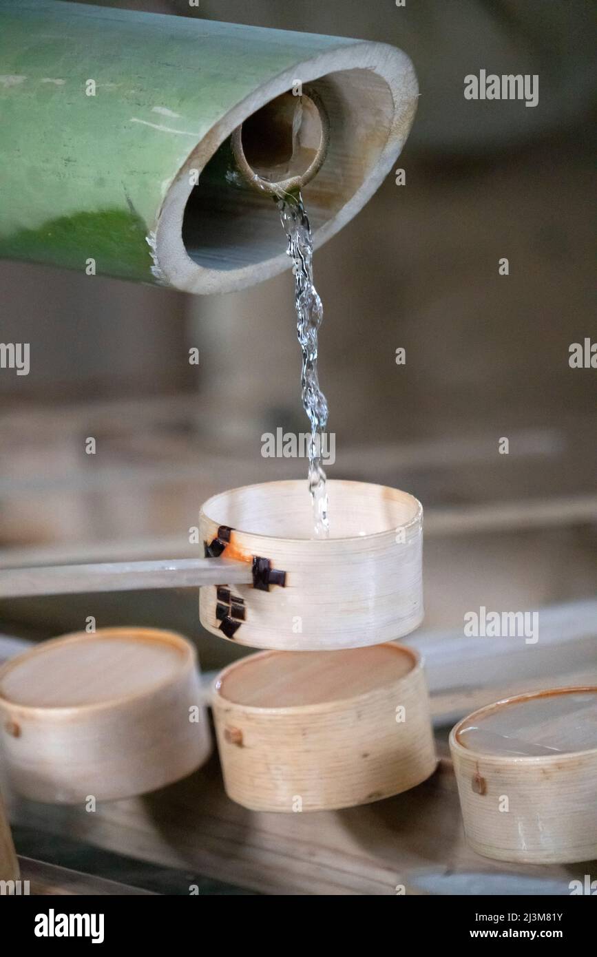 Pouring water for a tea ceremony in Tokyo. The Japanese tea ceremony or ...