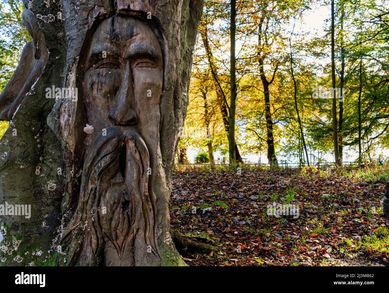 Wood carved tree human face hi-res stock photography and images - Alamy