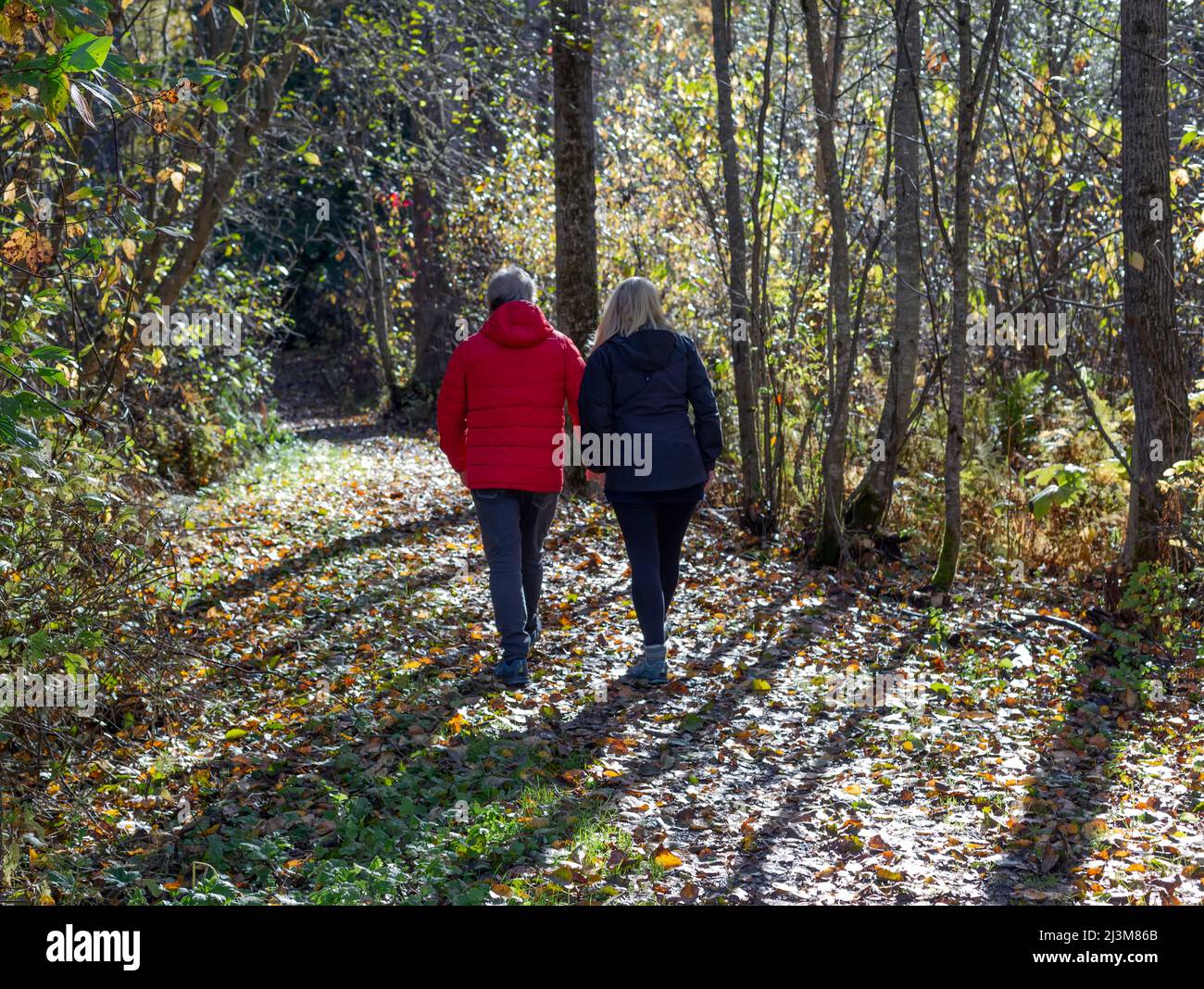 Mature couple holding hands and walking on a forest trail littered with ...