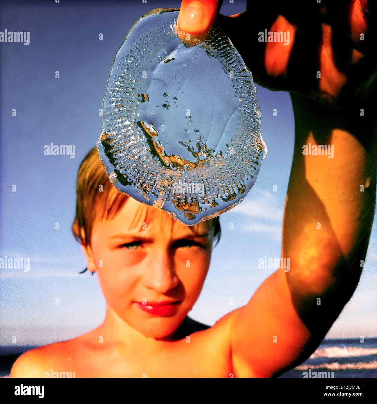 Person holding a jellyfish hi-res stock photography and images - Alamy