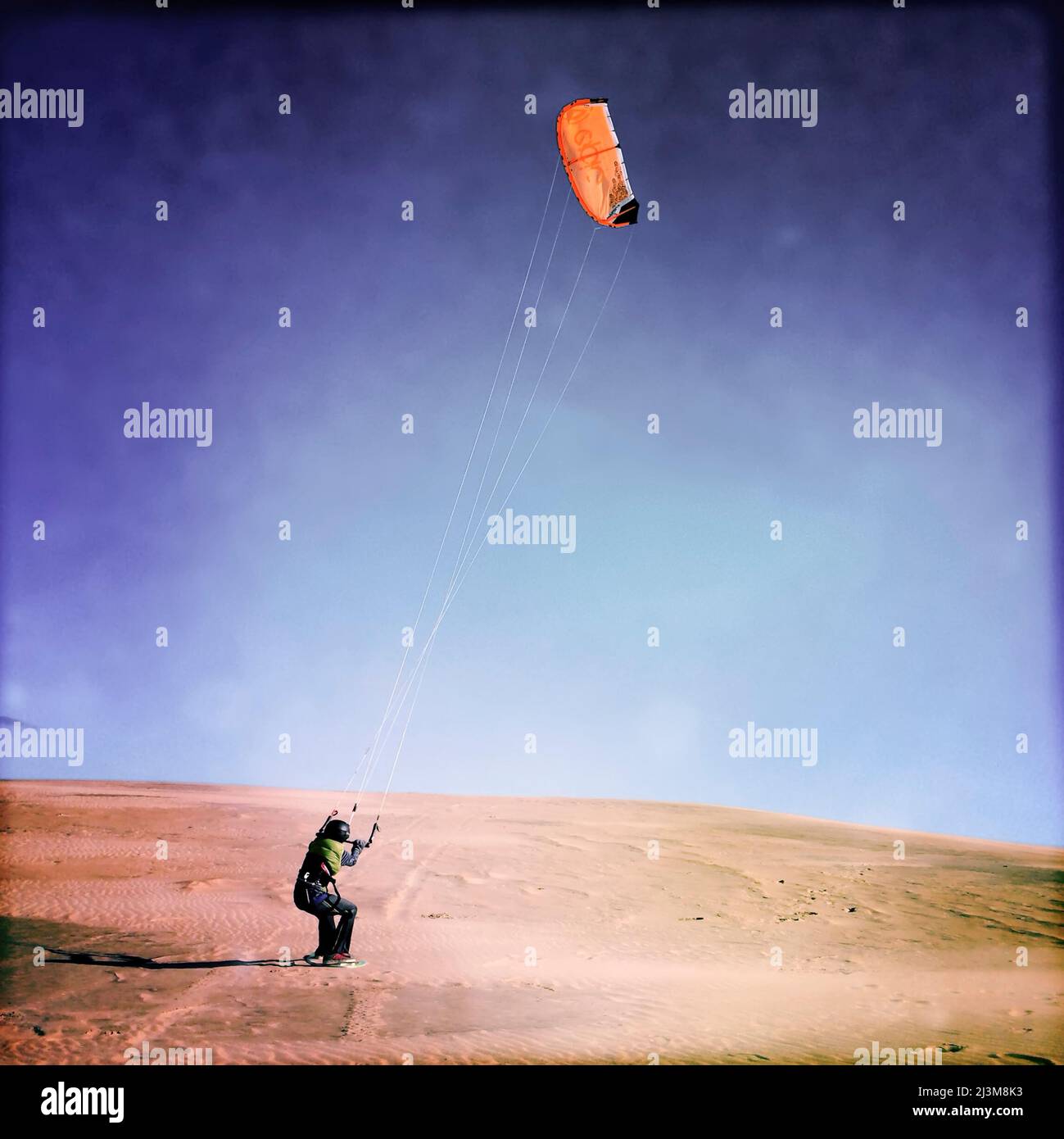 A 12 year old boy sand kiting on the big dune at Jockey Ridge State ...