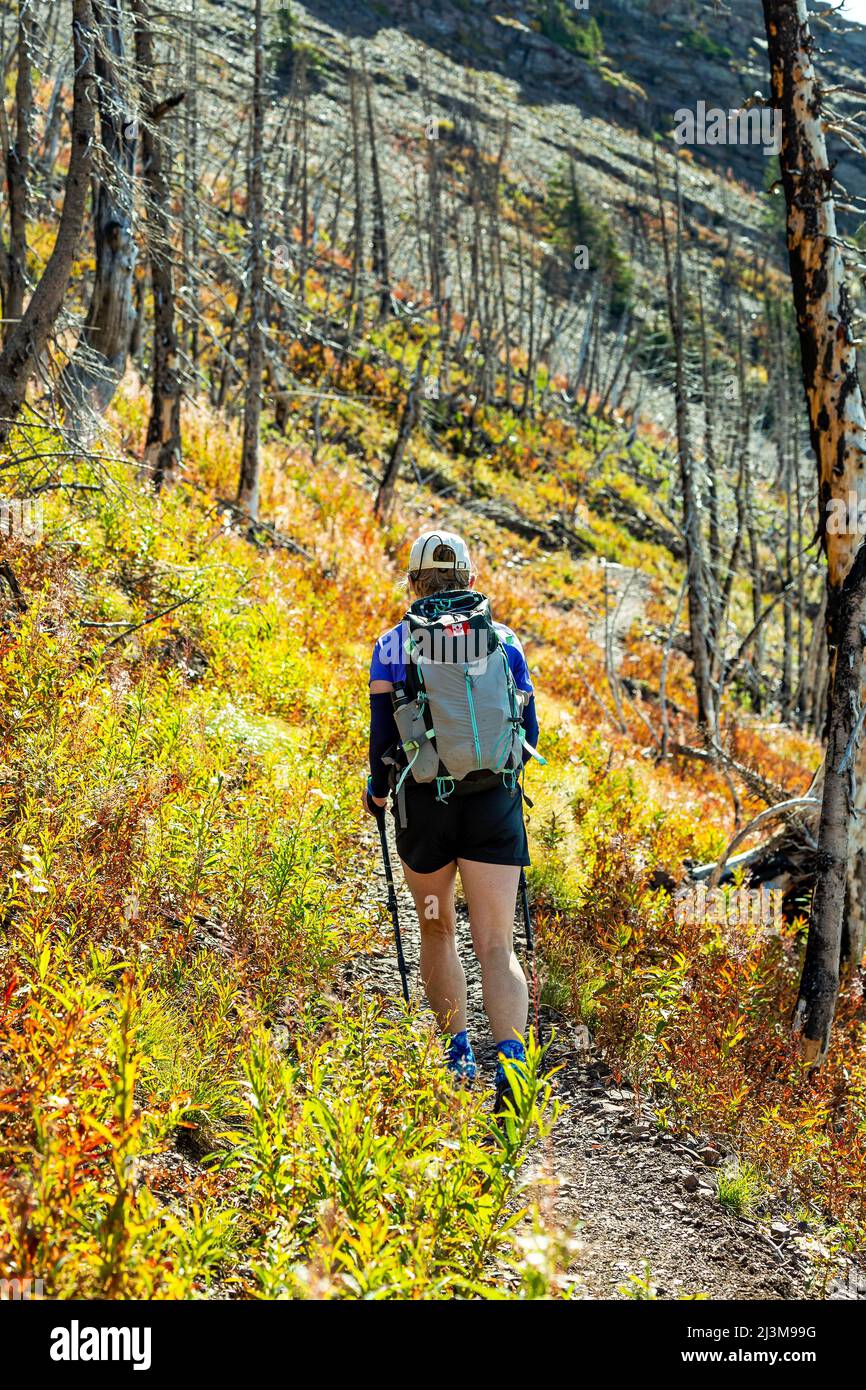 Fire pathway hi-res stock photography and images - Alamy