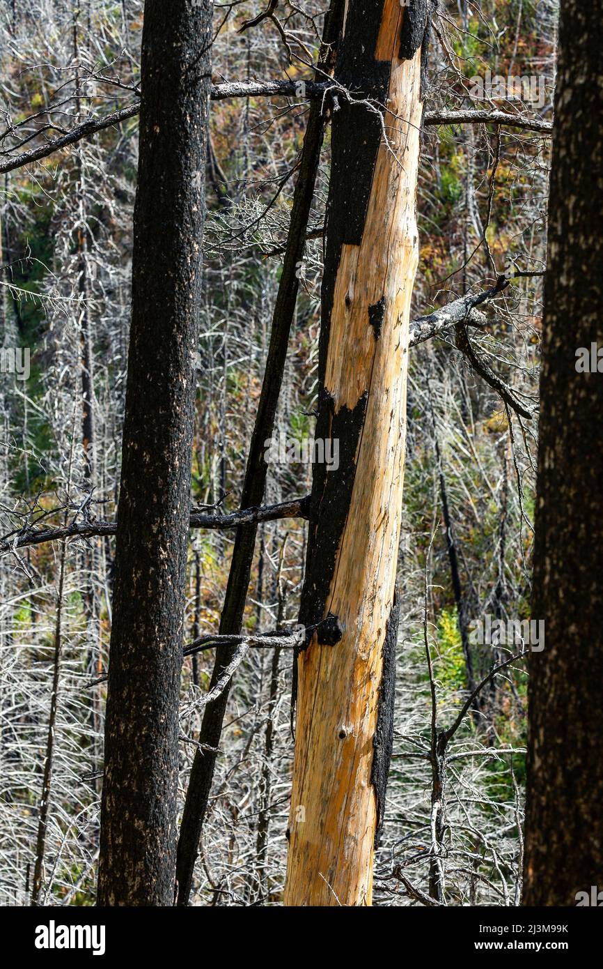 Burn marks hi-res stock photography and images - Alamy