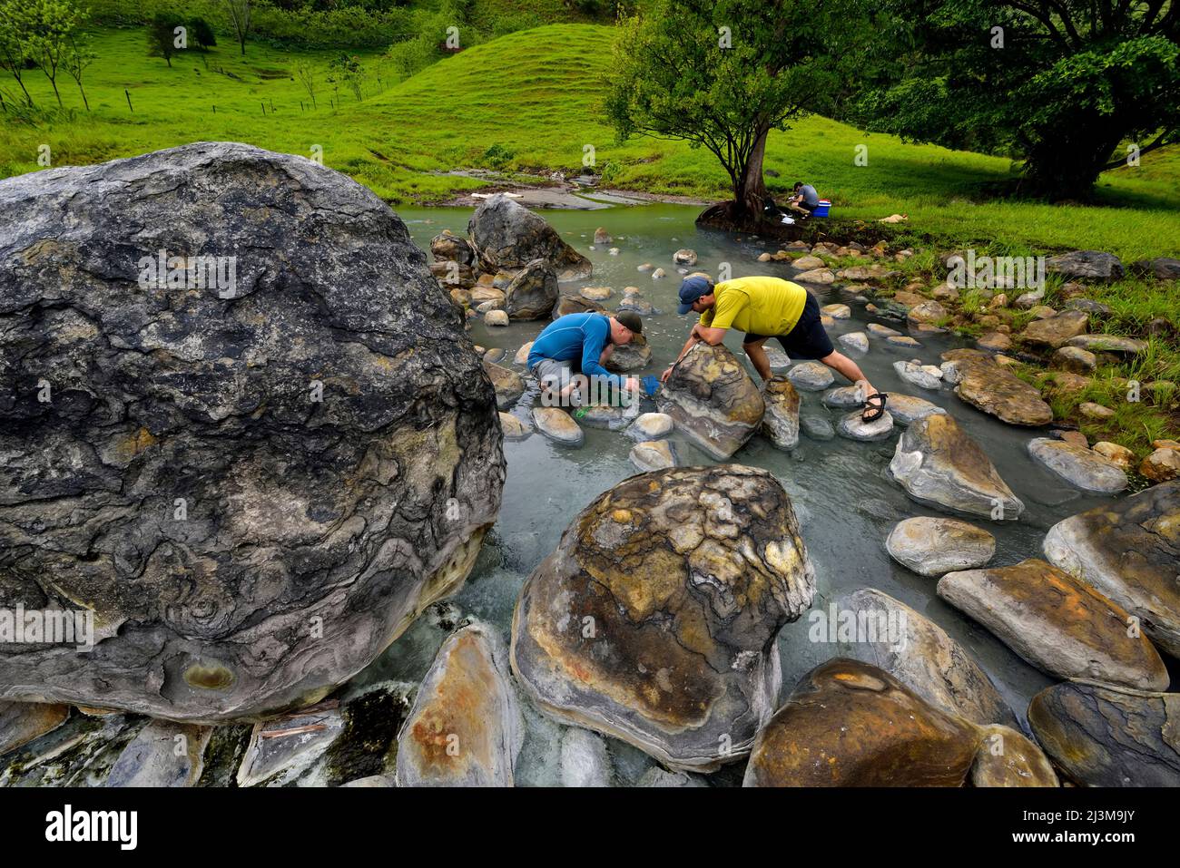 Fish biologists collect fish at a sulphur spring, La Gloria, in Tabasco ...