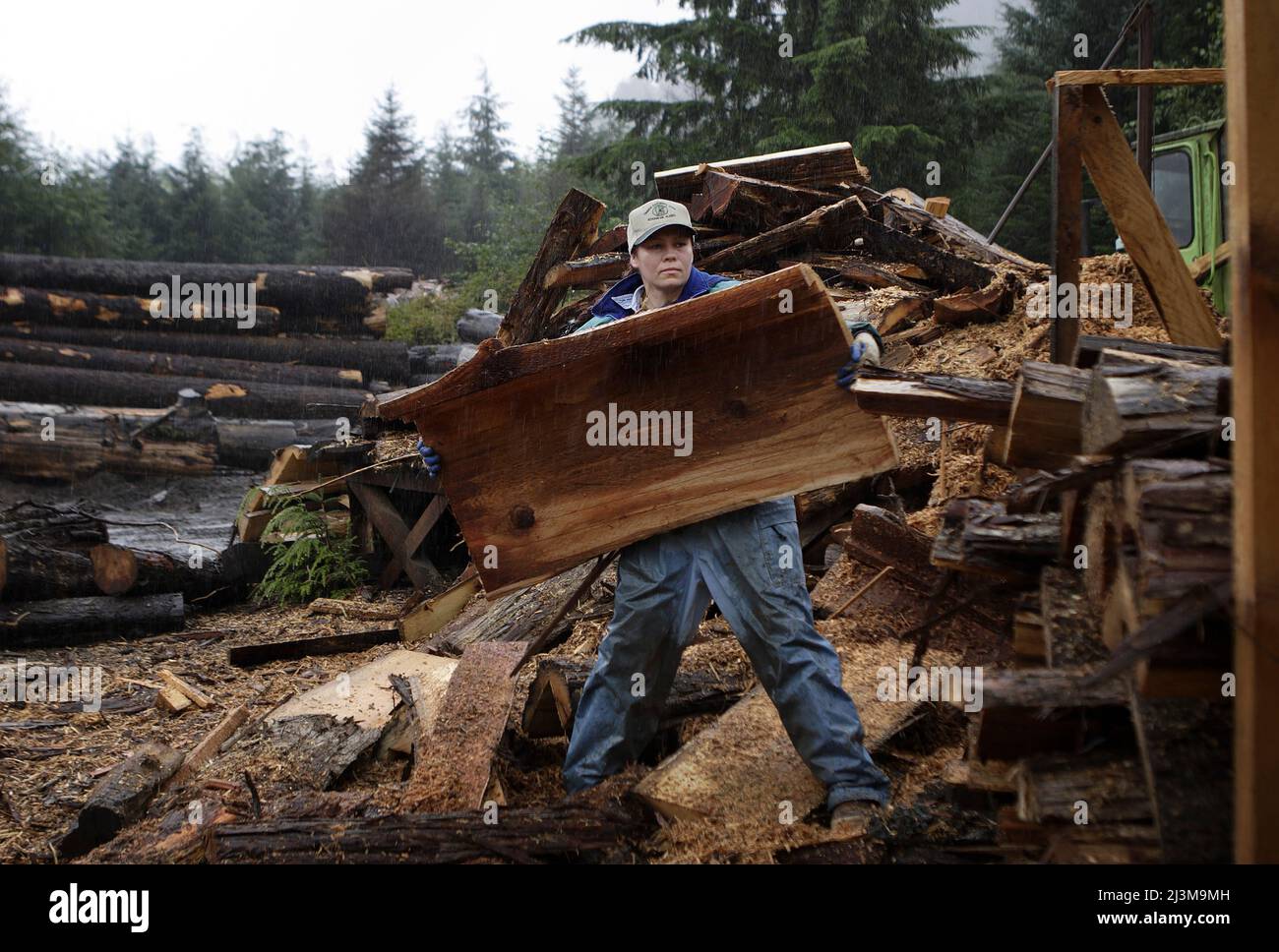 A female worker sorts lumber after logs are milled. Few industrial pulp ...