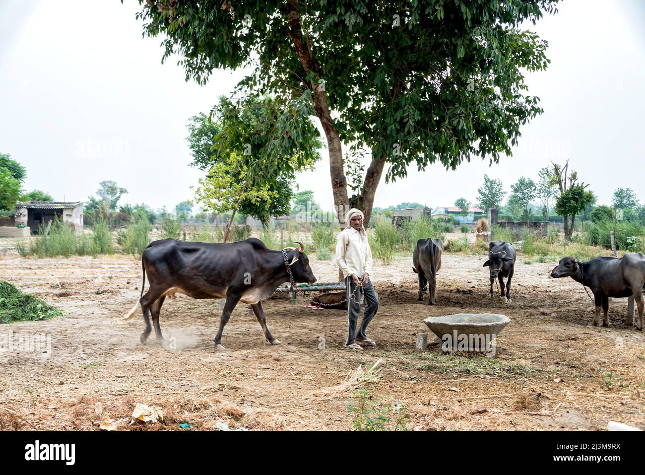 Nagli village noida hi-res stock photography and images - Alamy