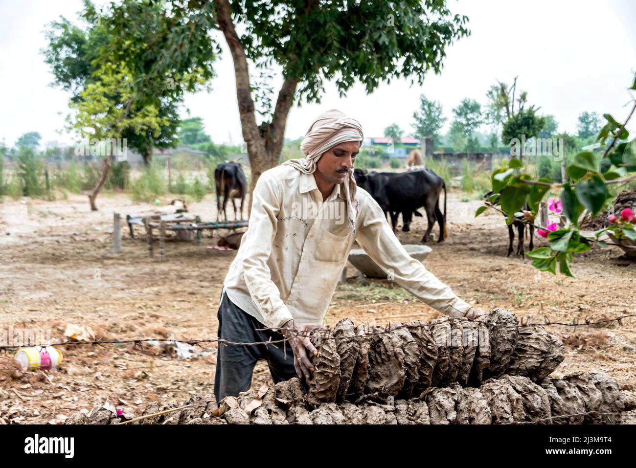 Nagli village noida hi-res stock photography and images - Alamy