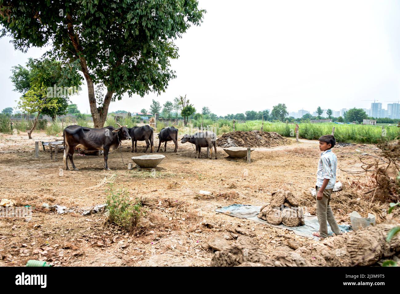 Nagli village noida hi-res stock photography and images - Alamy