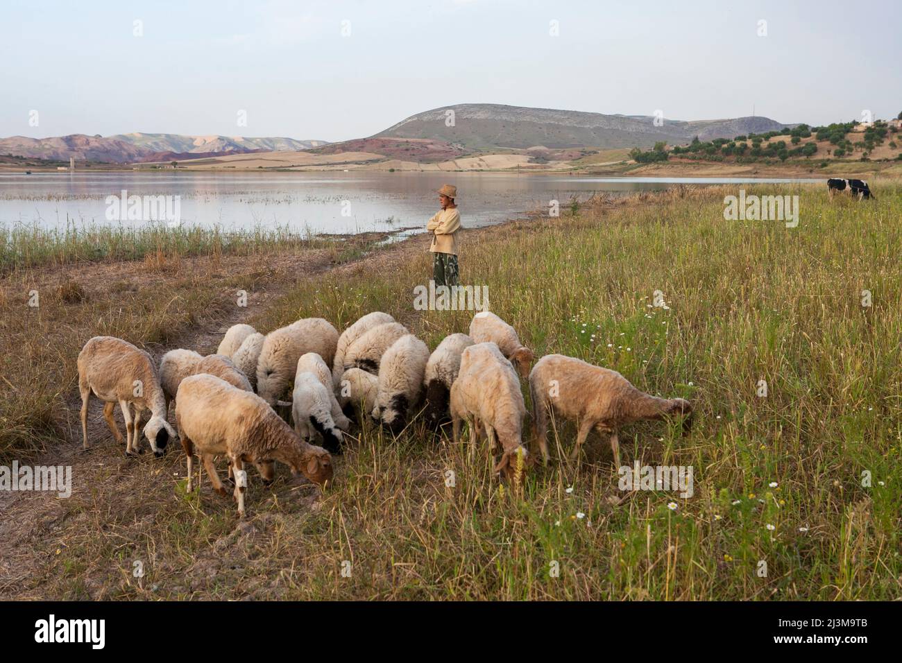 In the rural outskirts of Fes, a young sheep herder looks out over ...