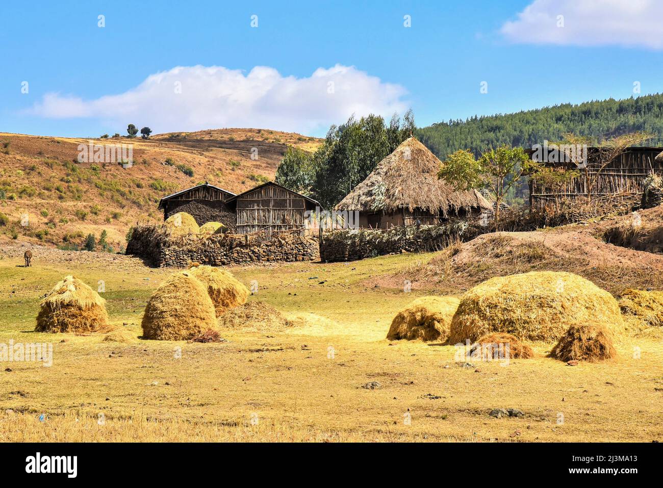 Traditional housing in the Ethiopian countryside; Ethiopia Stock Photo ...