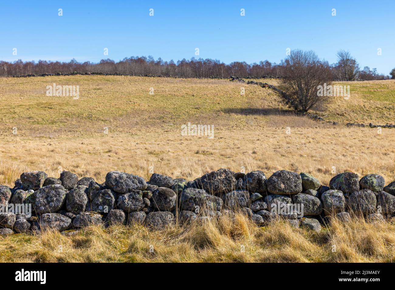 Stone Wall in the Scottish Highlands Stock Photo - Alamy