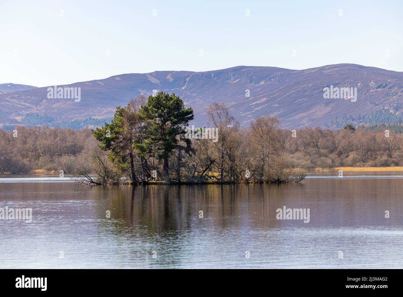 Muir of dinnet national nature reserve hi-res stock photography and ...