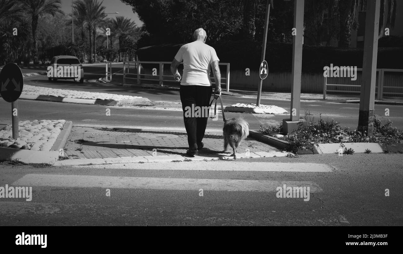 Man dog crossing road hi-res stock photography and images - Alamy