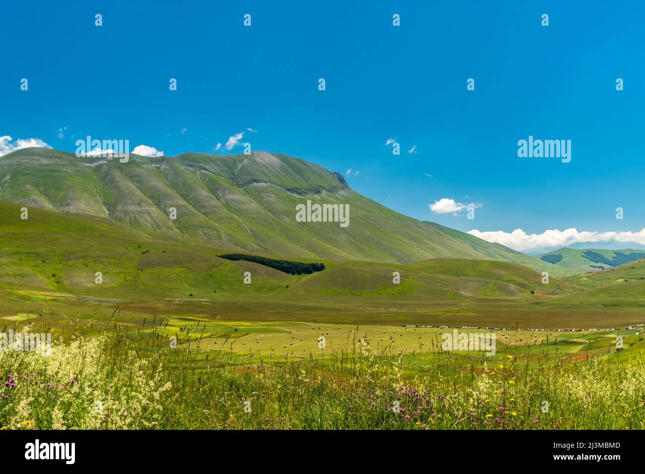The colors of the fields of lenil full of flowers at Castelluccio di ...