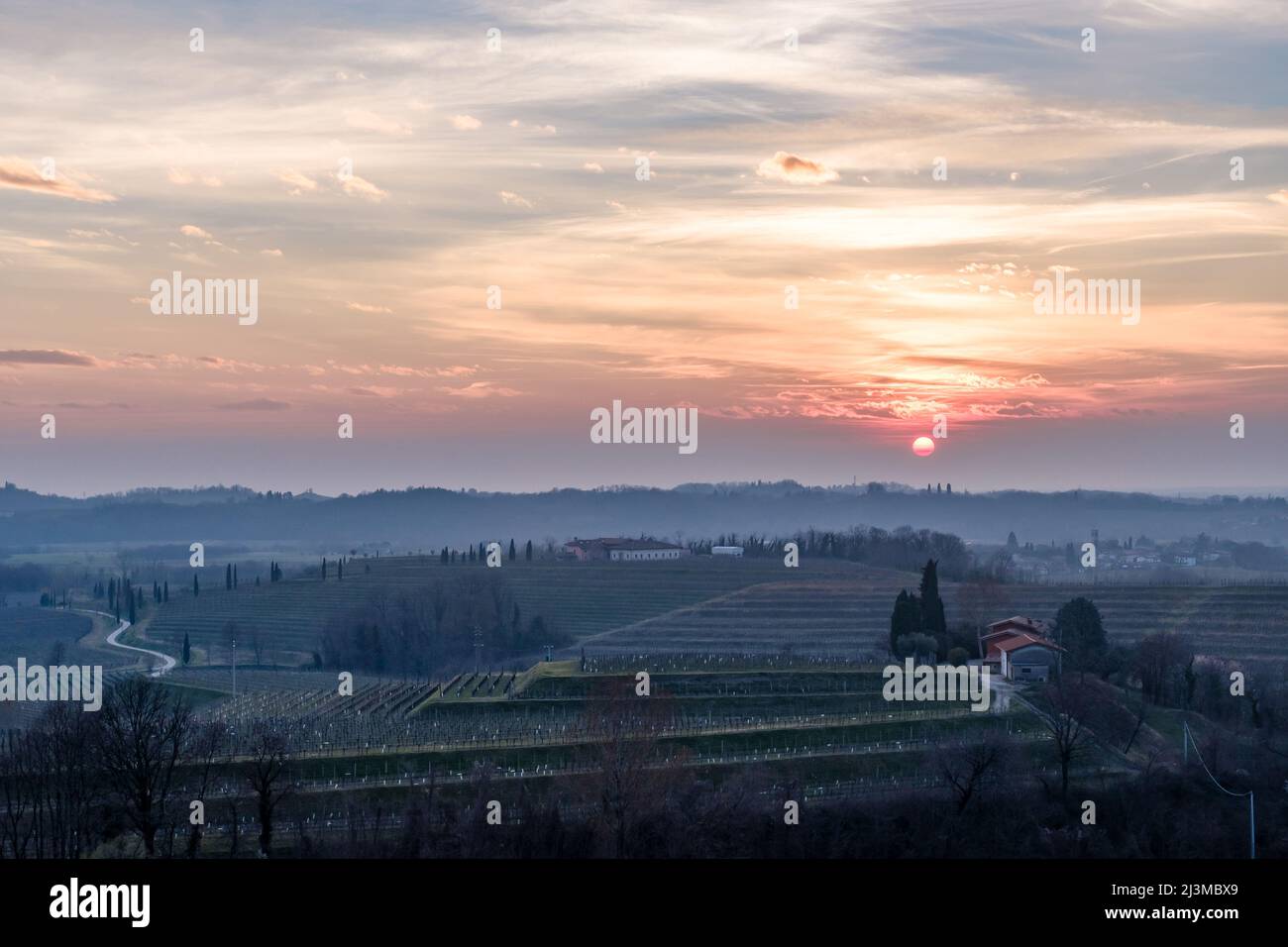 The sun goes down in the vineyards of Friuli Venezia-Giulia Stock Photo ...