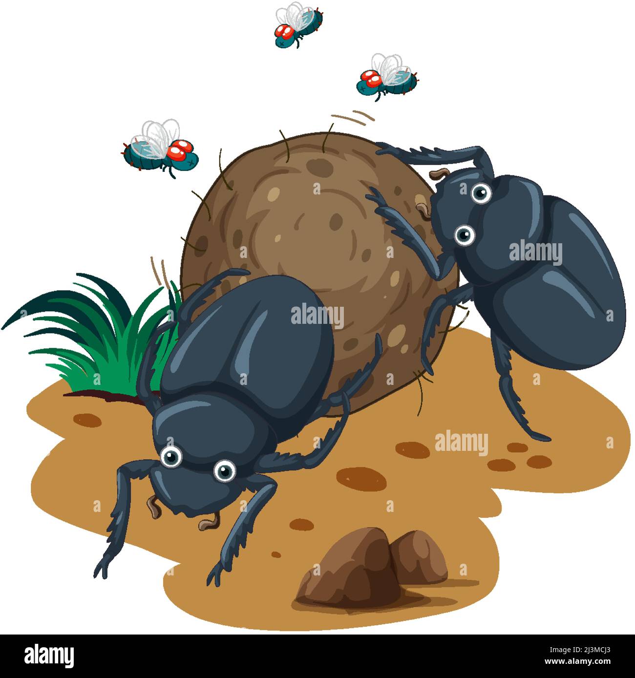 A dung beetle cartoon character illustration Stock Vector Image & Art ...