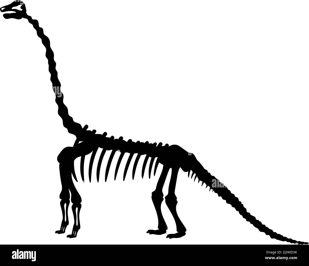 Fossil bones vector vectors Black and White Stock Photos & Images - Alamy