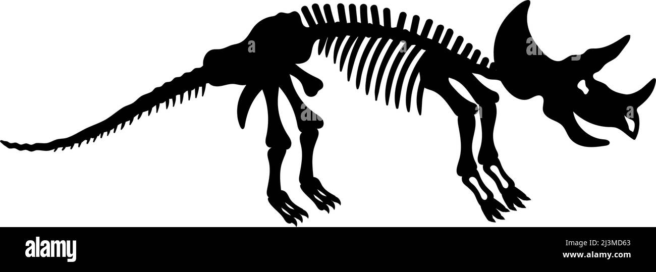 Tyrannosaurus rex skeleton drawing hi-res stock photography and images ...