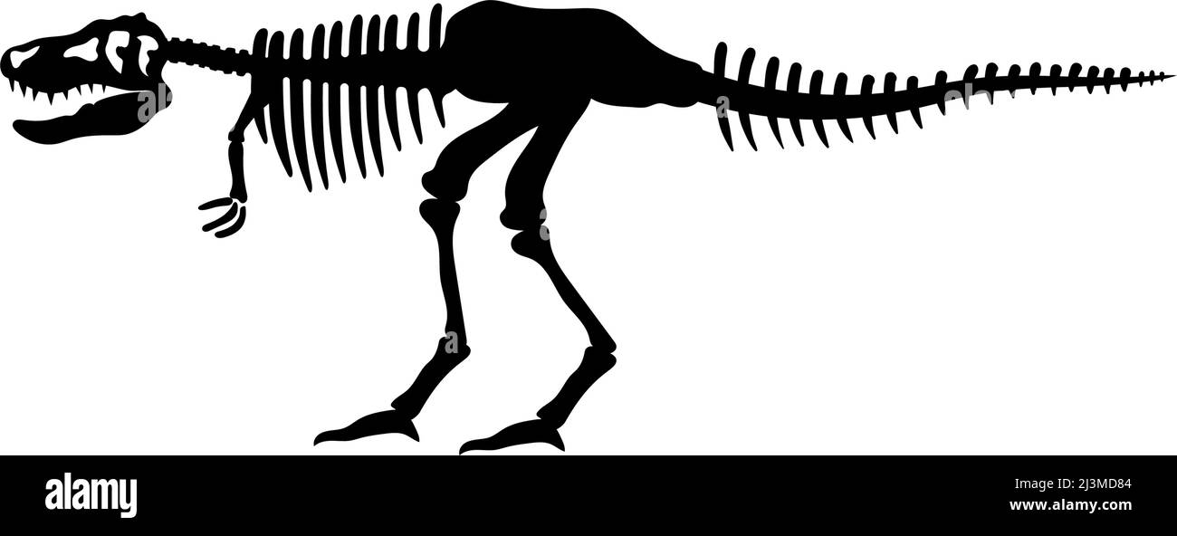 Dinosaur Skeleton Clip Art