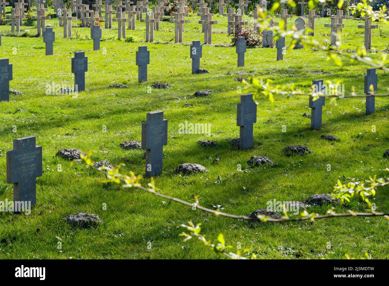 German WWI graves, Military necropolis, Zuydcoote, Nord, Hauts-de ...