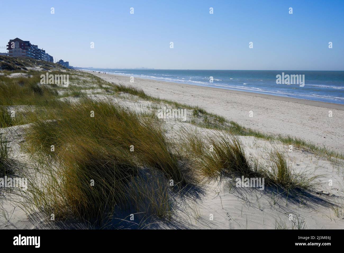 Sand Dune, Bray-Dunes, Nord, Hauts-de-France, France Stock Photo - Alamy