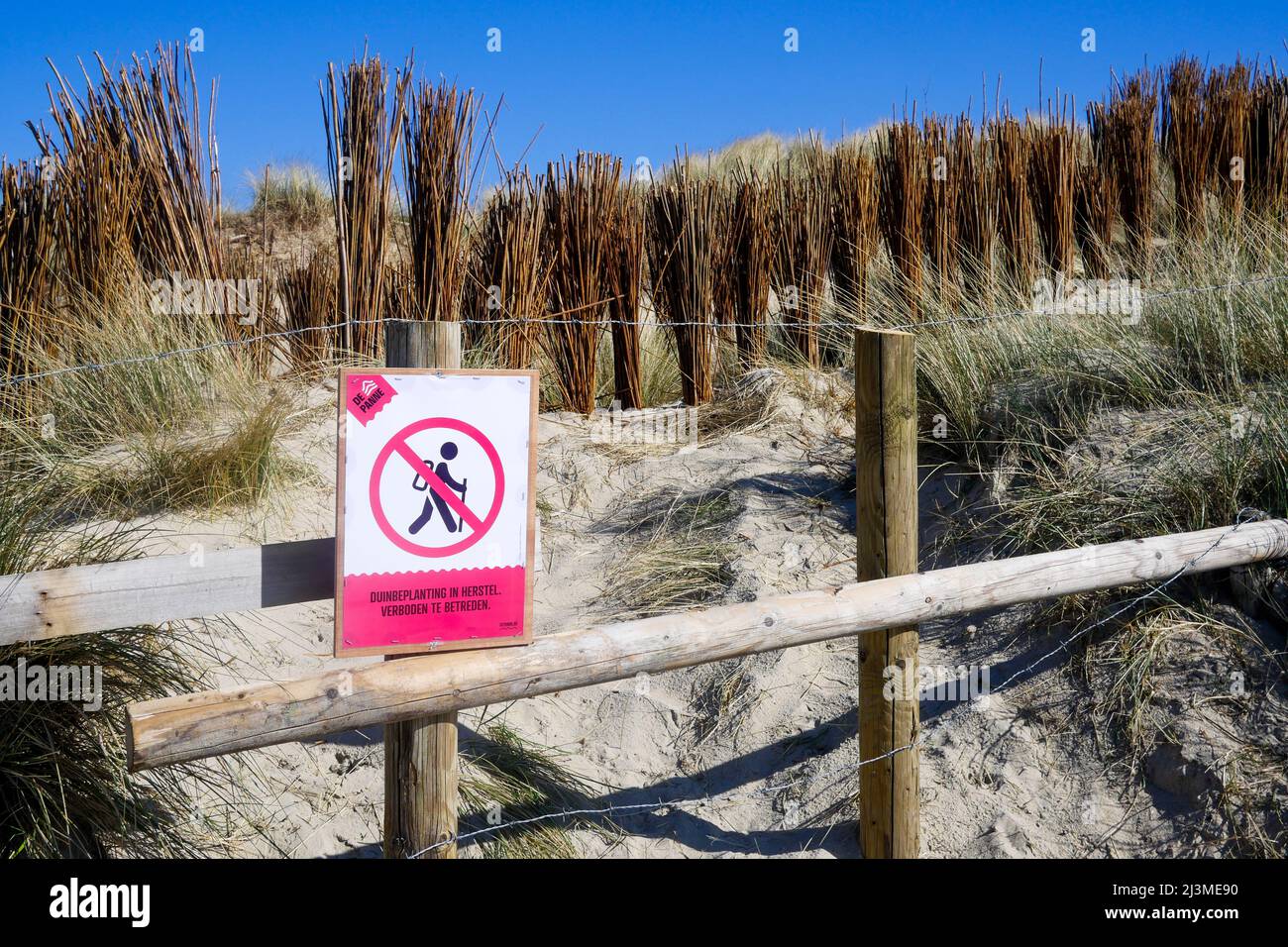 Sand dune protection fences, De Panne, Belgium Stock Photo - Alamy