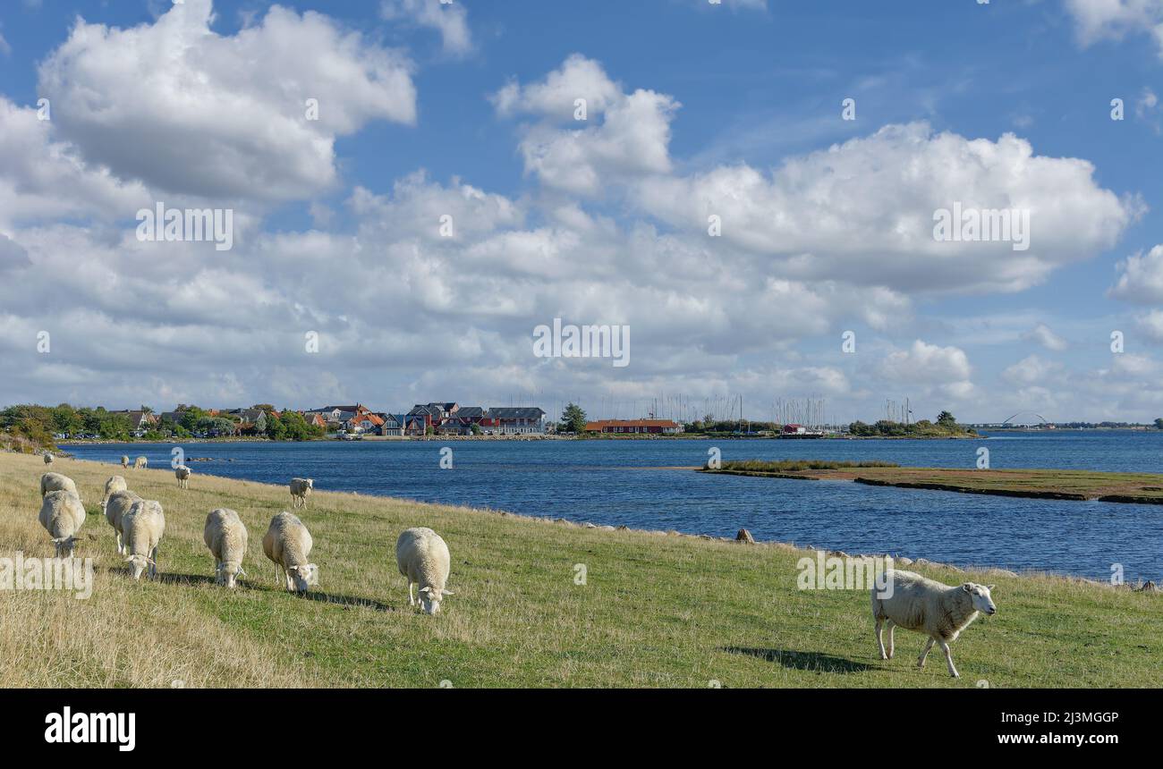 Fehmarn island hi-res stock photography and images - Alamy
