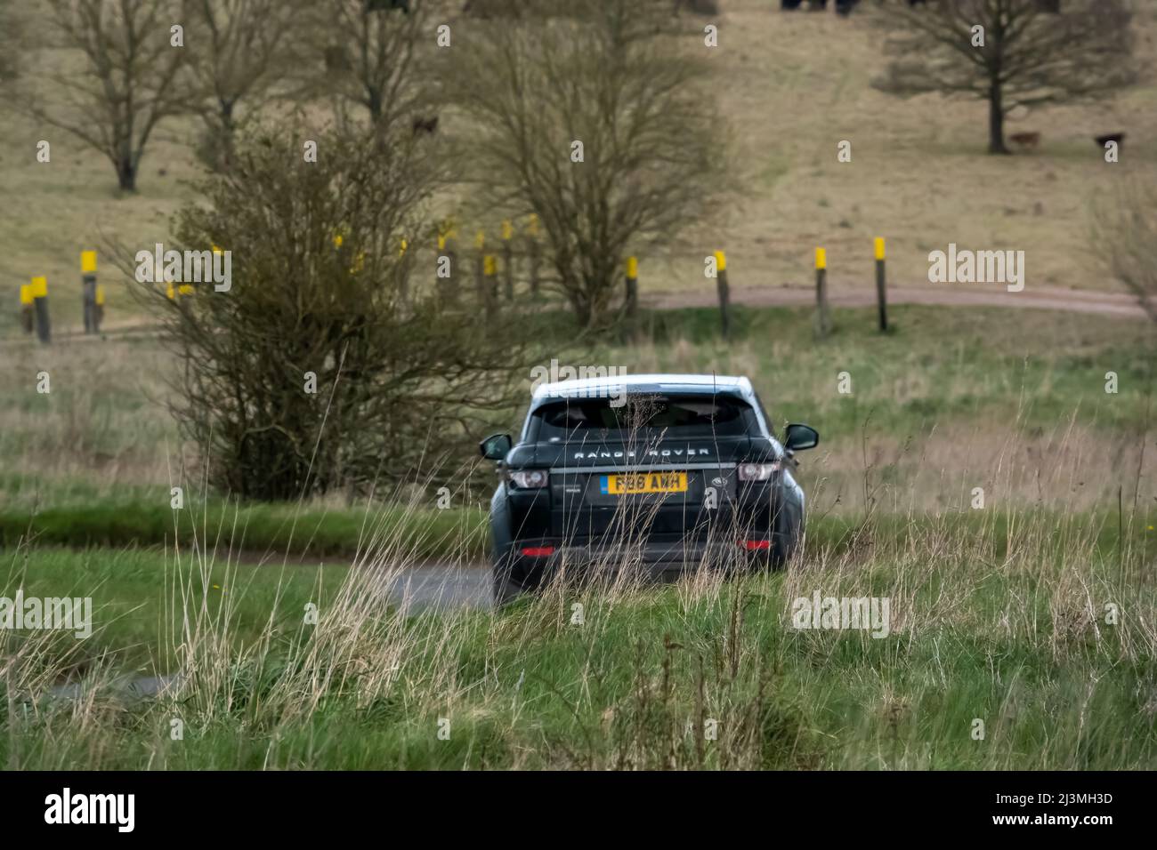 black off road range rover eqvoque 4x4 vehicle in english countryside ...