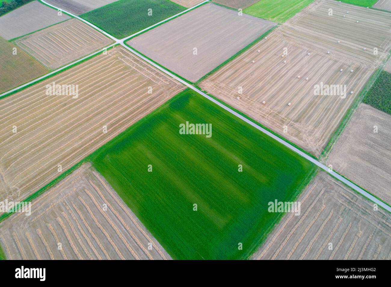 Agricultural fields seen from above. 2 paths form a intersection ...