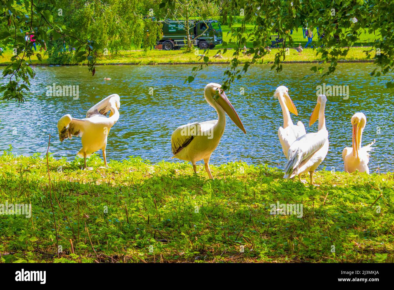St James`s Park is a 23-hectare park in the City of Westminster ...