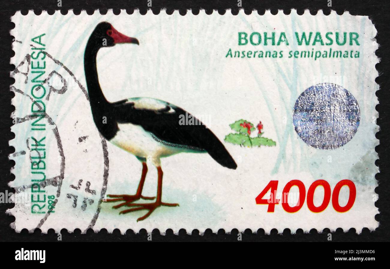 INDONESIA - CIRCA 1998: a stamp printed in Indonesia shows Magpie Goose ...