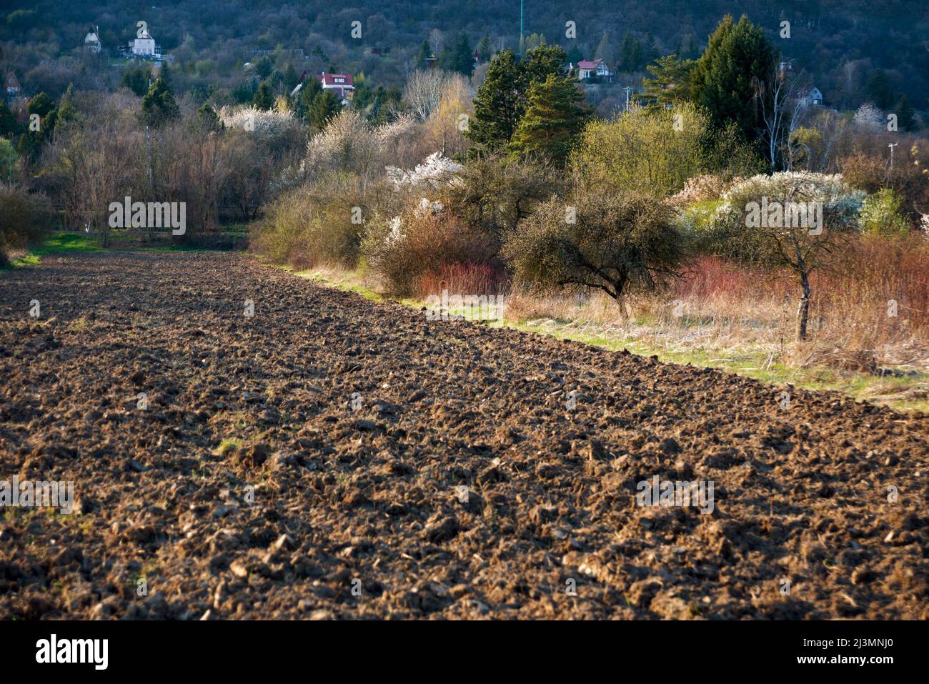 Countryside soil hi-res stock photography and images - Alamy